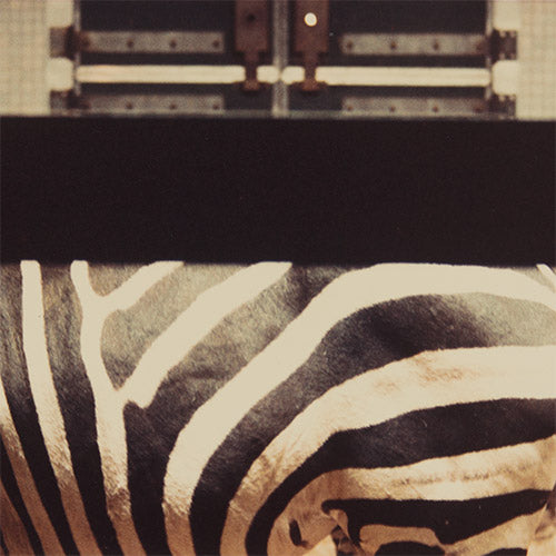 Peter Blake: Zebra, London Zoo, 1980, Signed Photograph by the Artist ...
